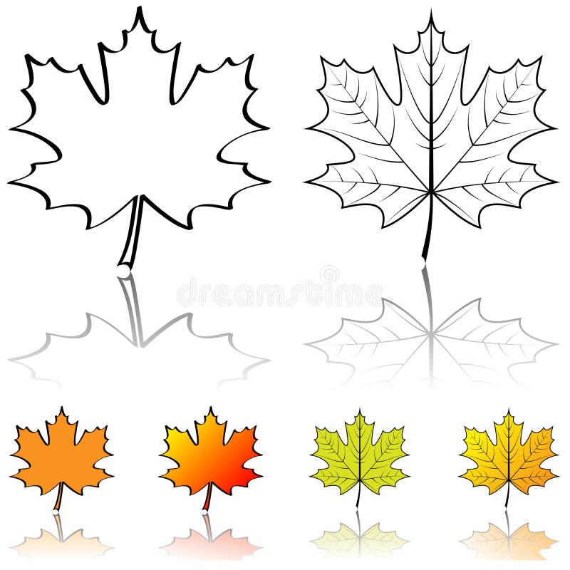 Maple leaf stock vector. Illustration of orange, gold - 10983473