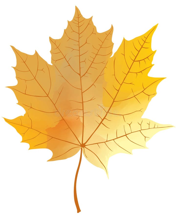 Isolated Autumn Bright Vector Maple Leaf Stock Vector - Illustration of ...