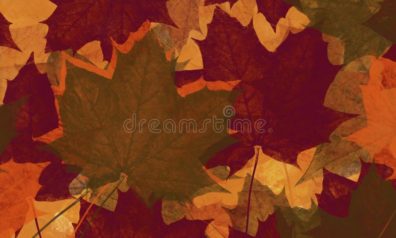 Maple leaf background stock illustration. Illustration of natur - 6181491