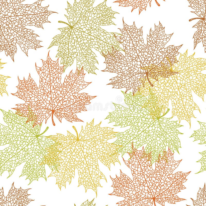 Maple leaf background stock vector. Illustration of backdrop - 36137474