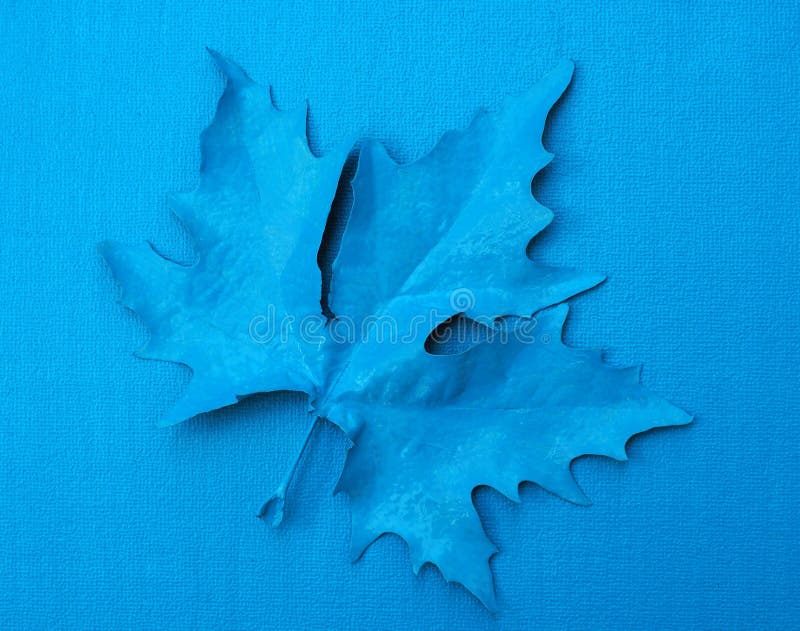 Maple leaf blue stock image. Image of fall, graphic - 101826803