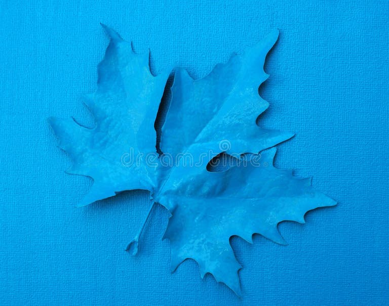 Maple leaf blue stock image. Image of fall, graphic - 101826803