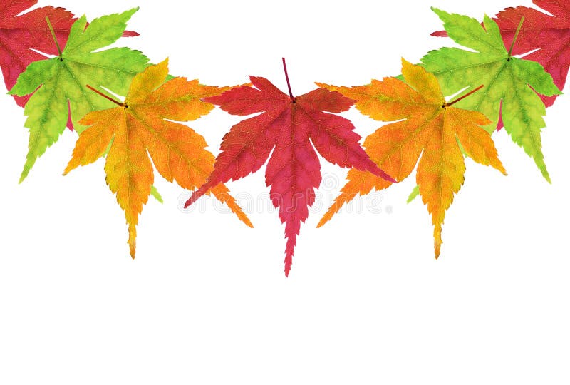 Maple leaf border stock photo. Image of canada, detail - 6406800