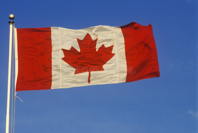 Maple Leaf Canadian Flag stock photo. Image of leaf, government - 52318422