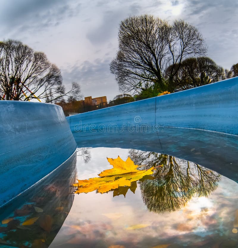 Maple Leaf in the Channel in the Fall Stock Image - Image of colors ...
