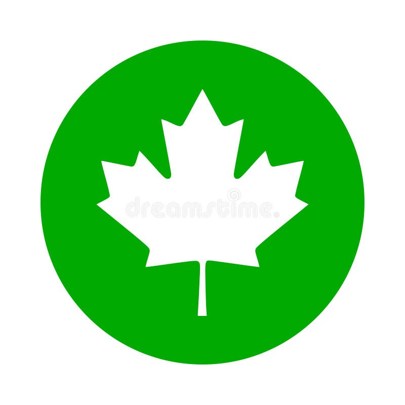 Maple leaf and circle stock vector. Illustration of leaves - 186187923