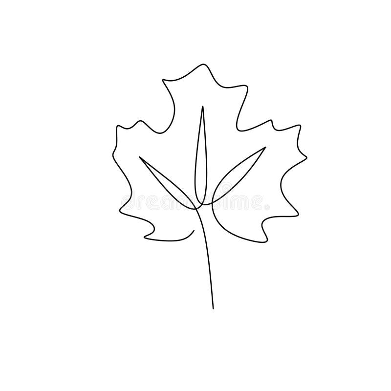 Maple Leaf Line Drawing Stock Illustrations – 4,941 Maple Leaf Line ...
