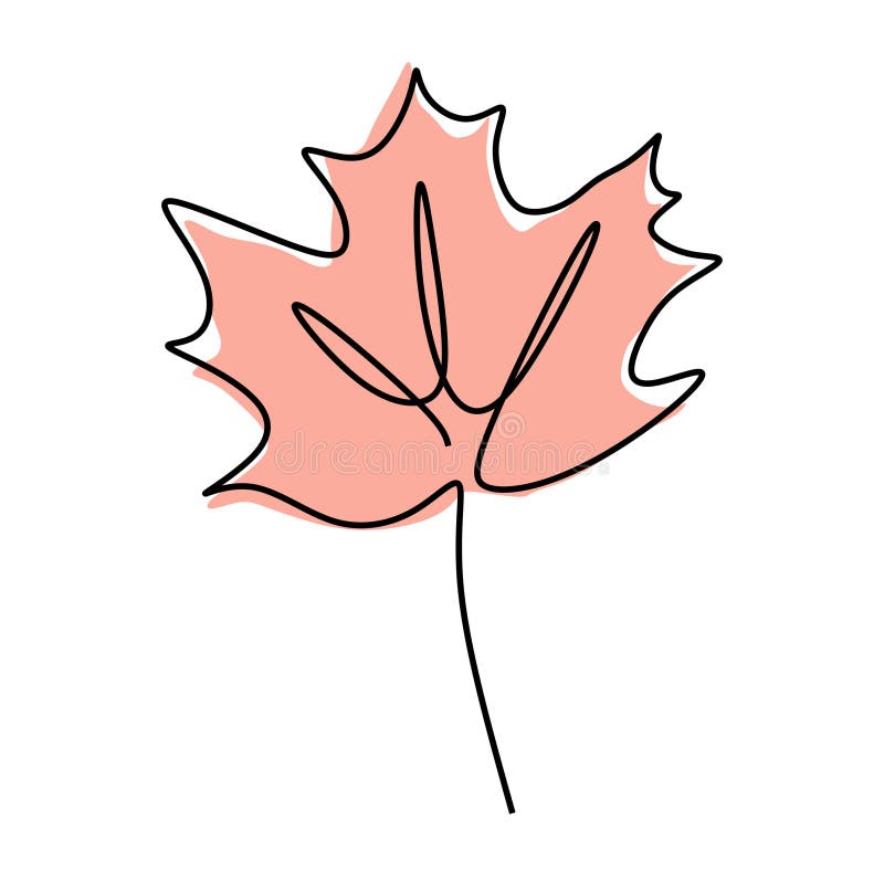 Maple Leaf Line Drawing Stock Illustrations – 4,941 Maple Leaf Line ...