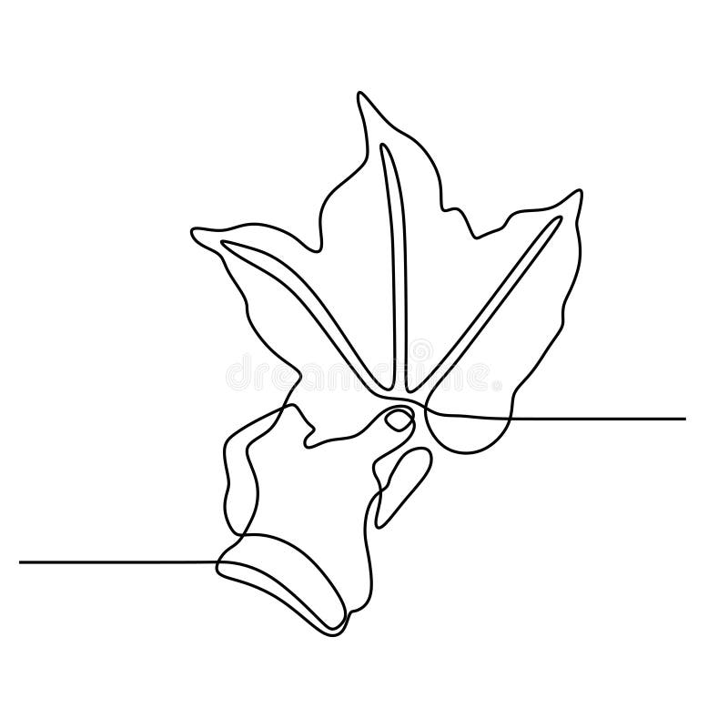 Maple Leaf Continuous One Line Drawing Minimalism Design Stock Vector ...