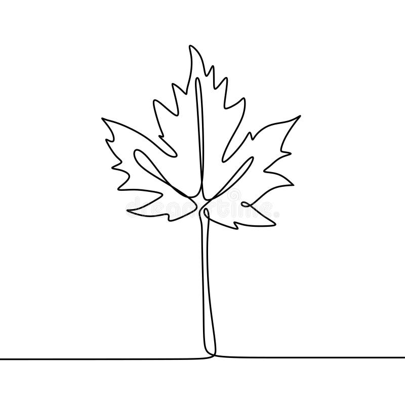 Maple Leaf Continuous One Line Drawing Minimalism Design Stock Vector ...