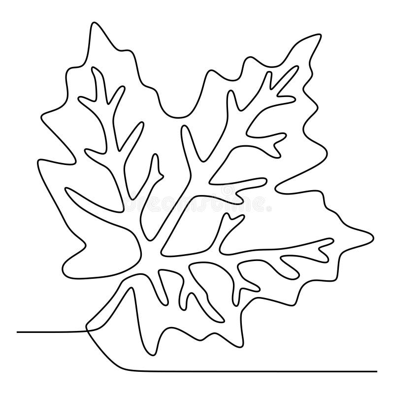 Maple Leaf Continuous One Line Drawing Minimalism Design Stock Vector ...