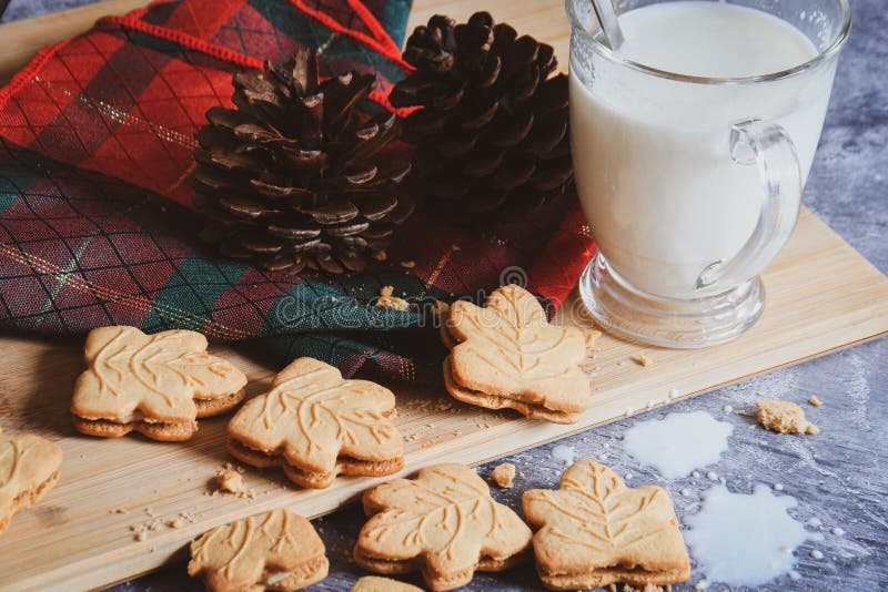 Maple Leaf Cookie the Canadian Snack Stock Photo - Image of leaf ...