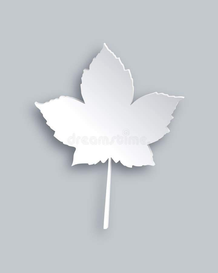 Maple leaf stock vector. Illustration of abstract, isolated - 80707939