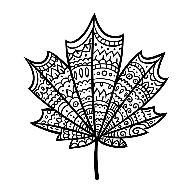 Maple leaf doodle stock vector. Illustration of doodle - 79176623