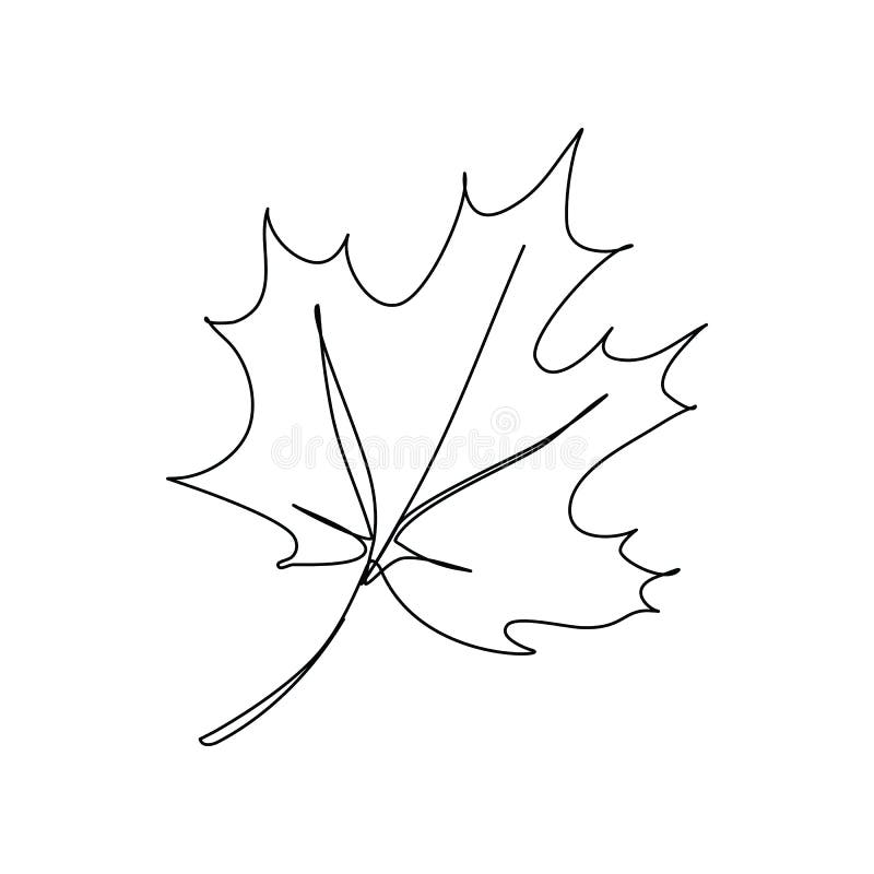 Maple Leaf in an Elegant Continuous Line Art Style Isolated on White ...