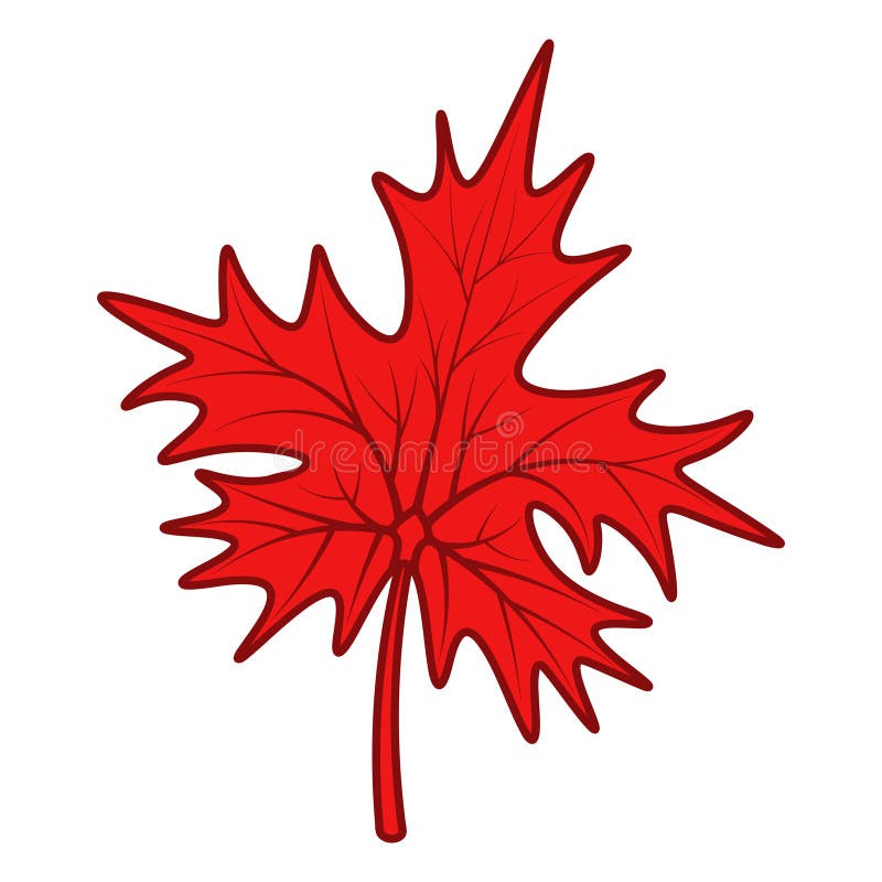 Maple Leaf. Emblem of Canada. Red Part of a Tree with Veins in Cartoon ...