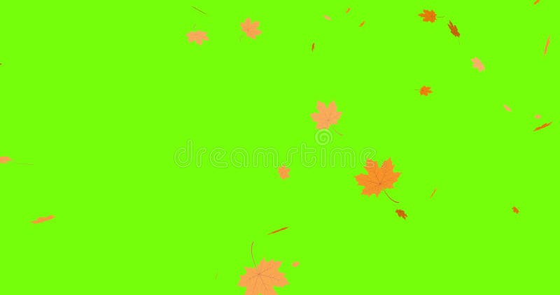 Leaf Fall Animation with Wind. Autumn Maple, Leaves Falling Loop 4k ...