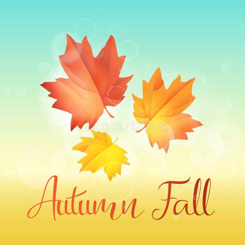 Autumn Leaves Fall on Sky Background Vector Illustration. Hello Autumn ...