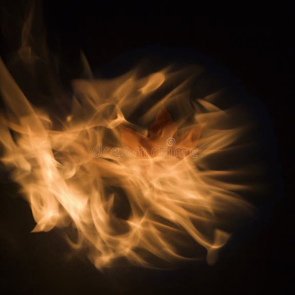 Maple leaf in flames. stock photo. Image of nature, burn - 2042672