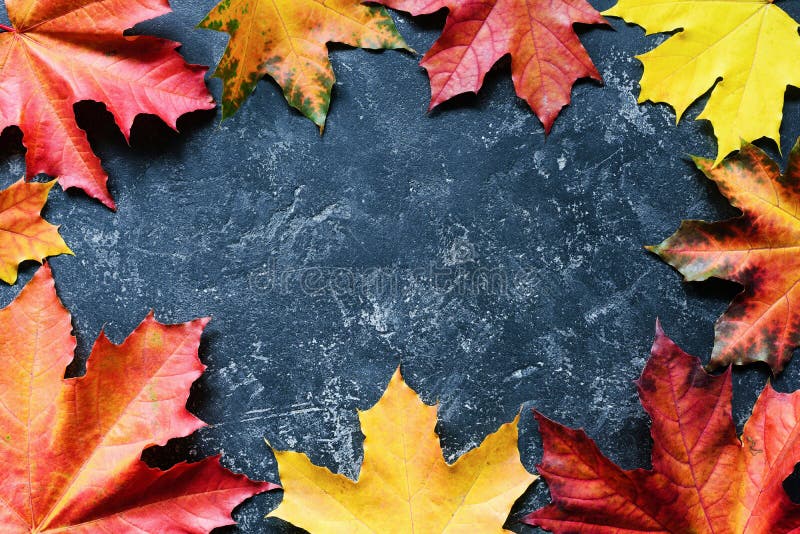 Maple Leaf Frame on Stone Background Stock Photo - Image of copy ...