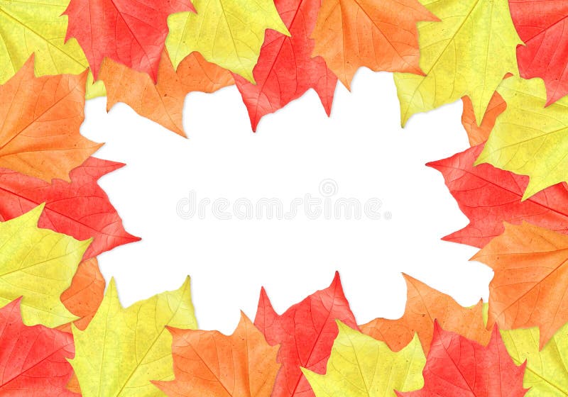 Maple Leaf Frame stock photo. Image of path, foliage - 35669088