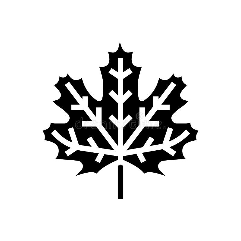 Maple Leaf Glyph Icon Vector Illustration Stock Vector - Illustration ...