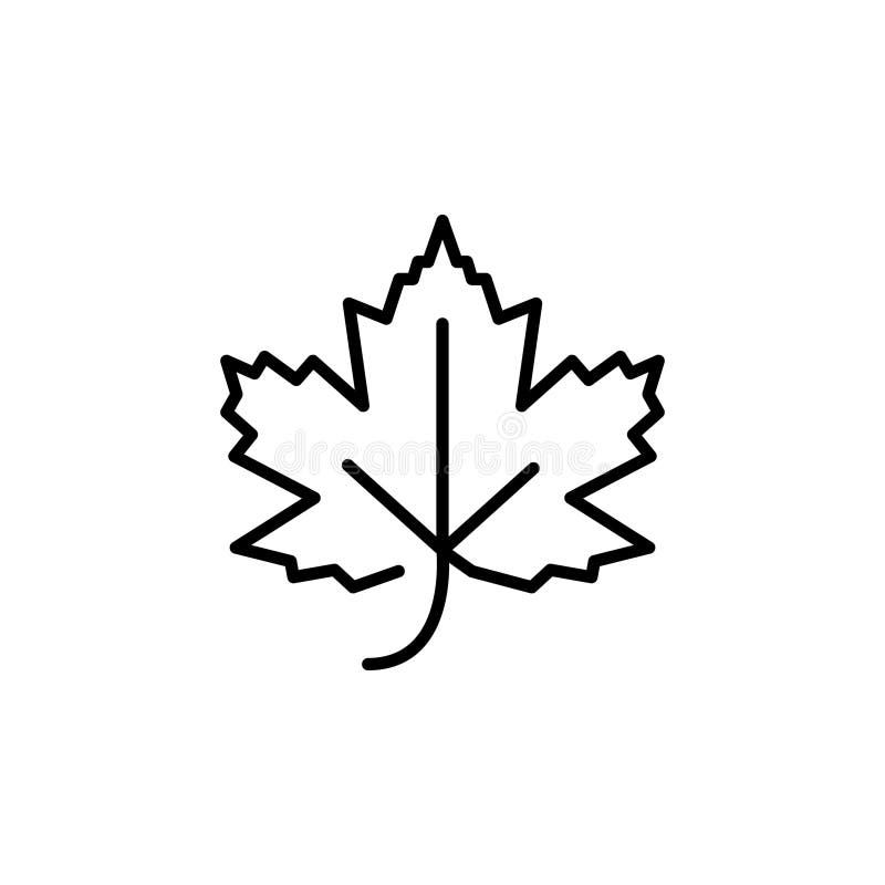 Maple Leaf Icon stock illustration. Illustration of symbolic - 372065656