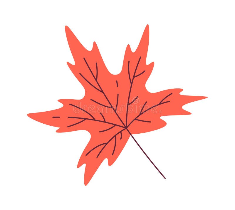 Maple Leaf Doodle stock vector. Illustration of icon - 284554540