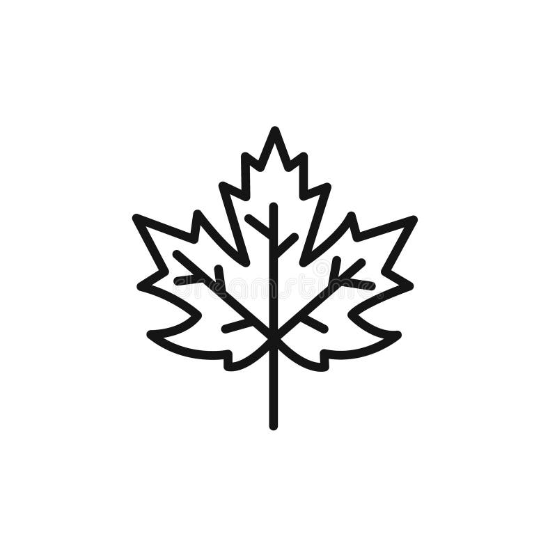 Maple Leaf Icon Vector Stock Illustrations – 43,512 Maple Leaf Icon ...