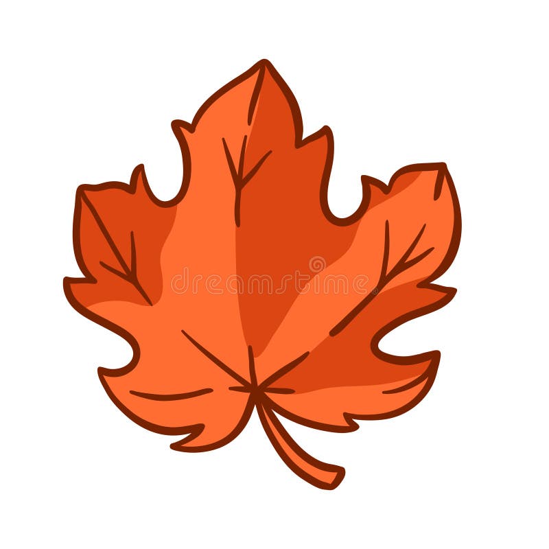 Maple Leaf Illustration. Autumn Natural Tree Foliage Stock Vector ...