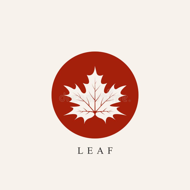 Maple Leaf Line Art Logo Design Vector Stock Vector - Illustration of ...