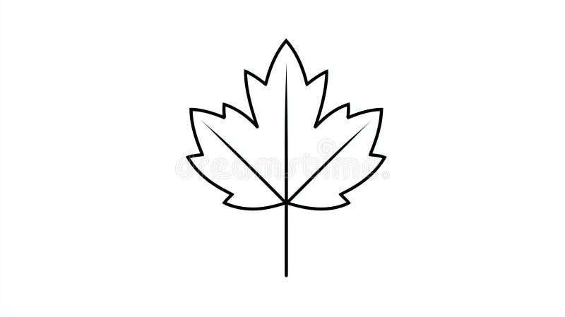 Simple Black Outline of Maple Leaf on White Background for Minimalistic ...