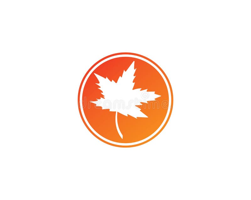 Maple Leaf Logo Design stock illustration. Illustration of national ...