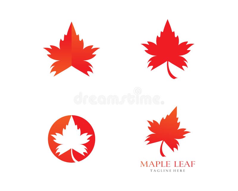Maple Leaf Logo stock vector. Illustration of season - 170726272