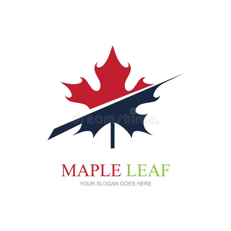 Maple Leaf Logo Template Vector Icon Illustration, Maple Leaf Vector ...