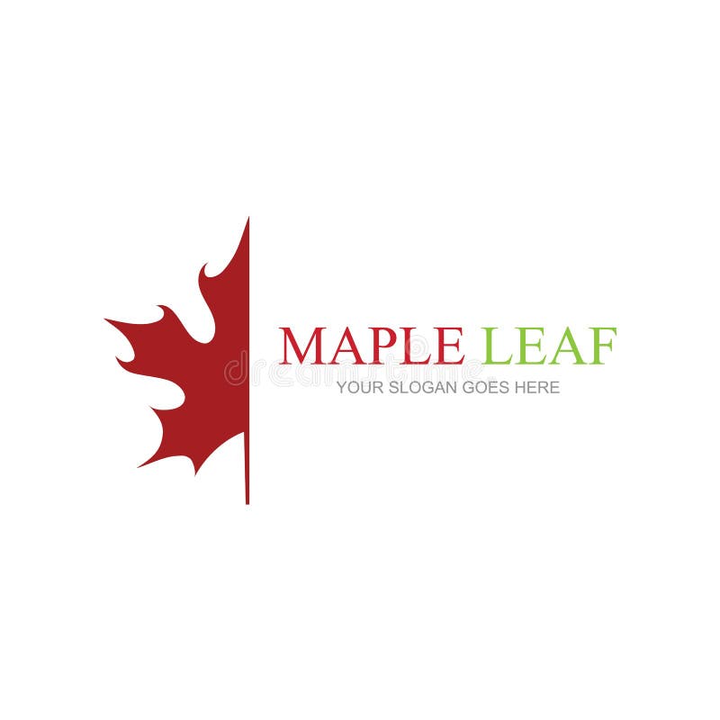 Maple Leaf Logo Template Vector Icon Illustration, Maple Leaf Vector ...