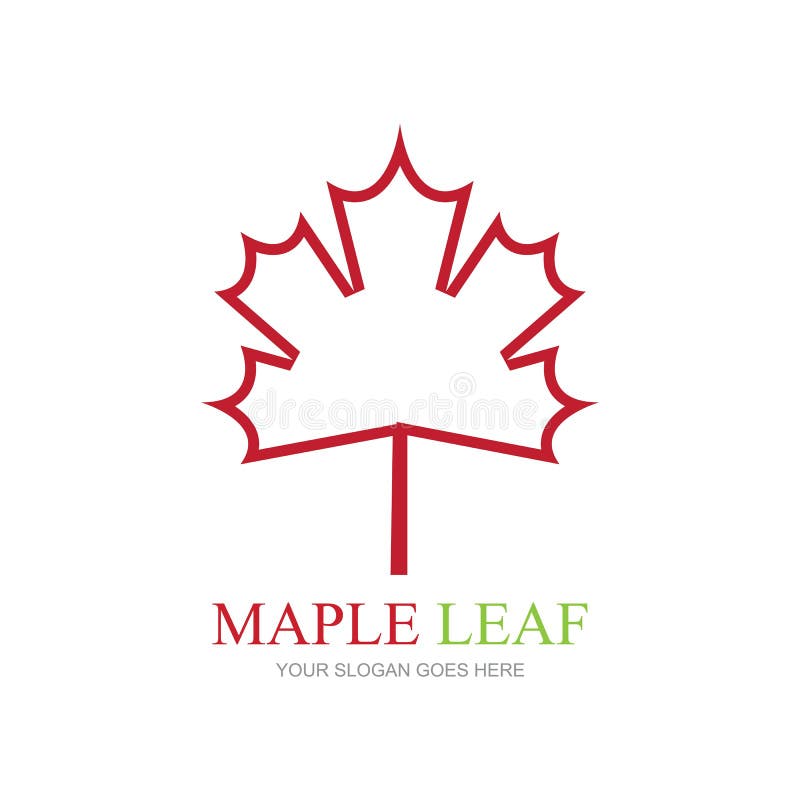 Maple Leaf Logo Template Vector Icon Illustration, Maple Leaf Vector ...