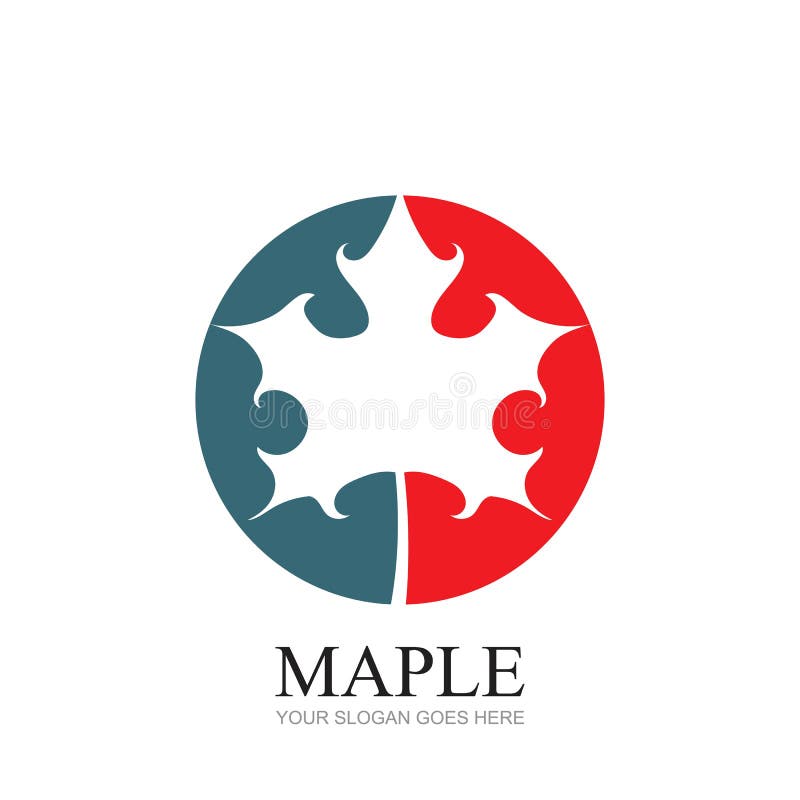 Maple Leaf Logo Template Vector Icon Illustration, Maple Leaf Vector ...