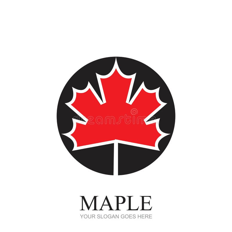Maple Leaf Logo Template Vector Icon Illustration, Maple Leaf Vector ...