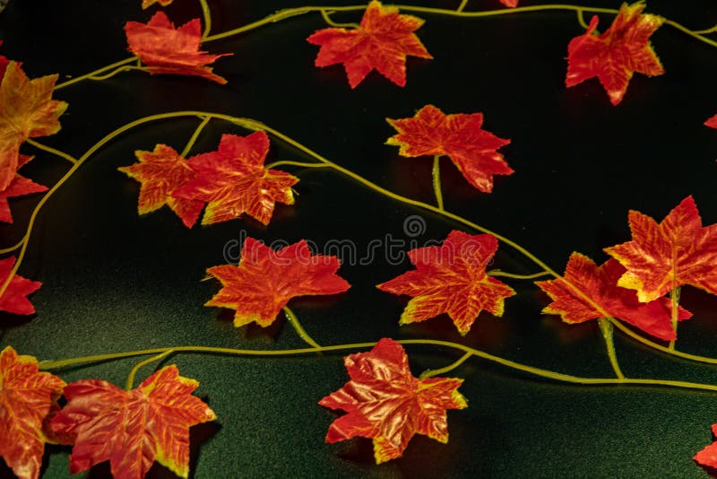 Maple Leaf Made Plastic Material Black Background Stock Photos - Free ...