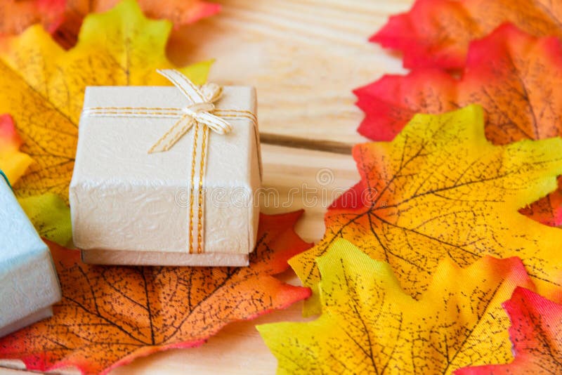 Maple Leaf and Mini Gift Box with Wooden Background Stock Image - Image ...