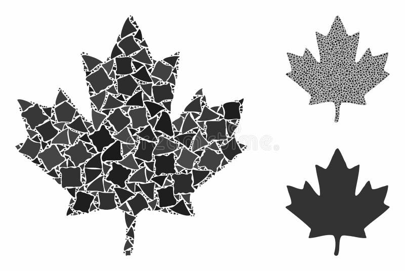 Maple Leaf Mosaic Icon of Irregular Parts Stock Vector - Illustration ...