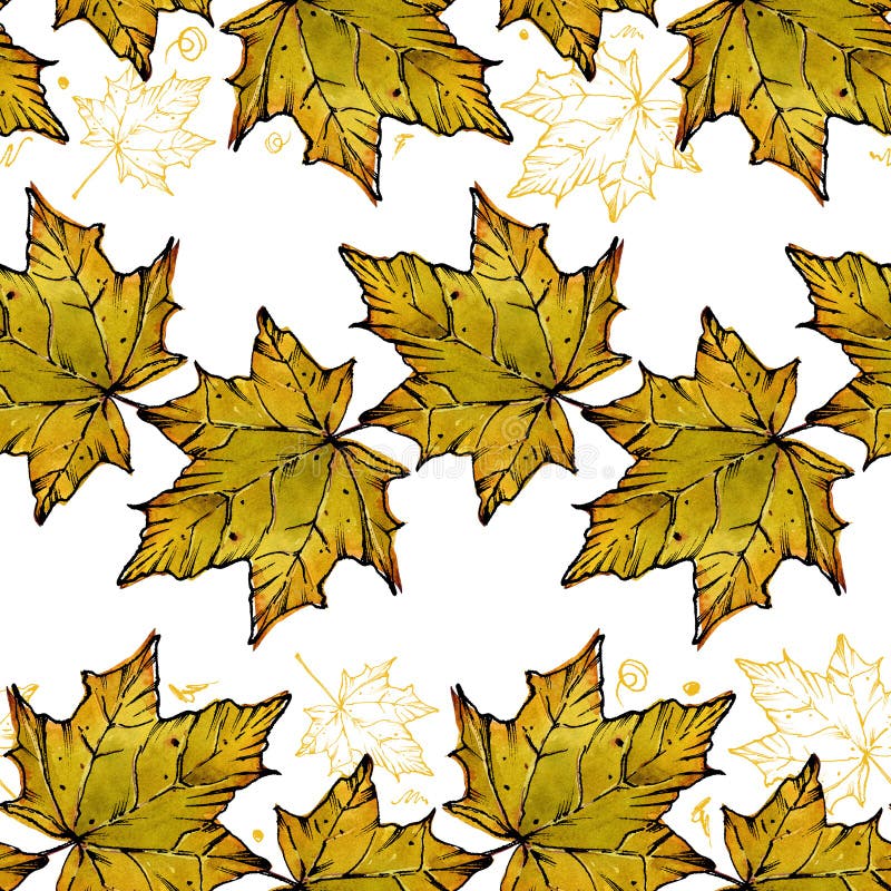 Maple Leaf Pattern. Fallen Autumn Leaf. Deciduous Trees and Shrubs ...