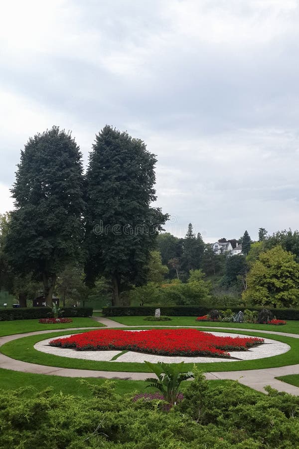 Maple Leaf Pattern Garden, Red Flowers, High Park, Toronto Stock Photo ...