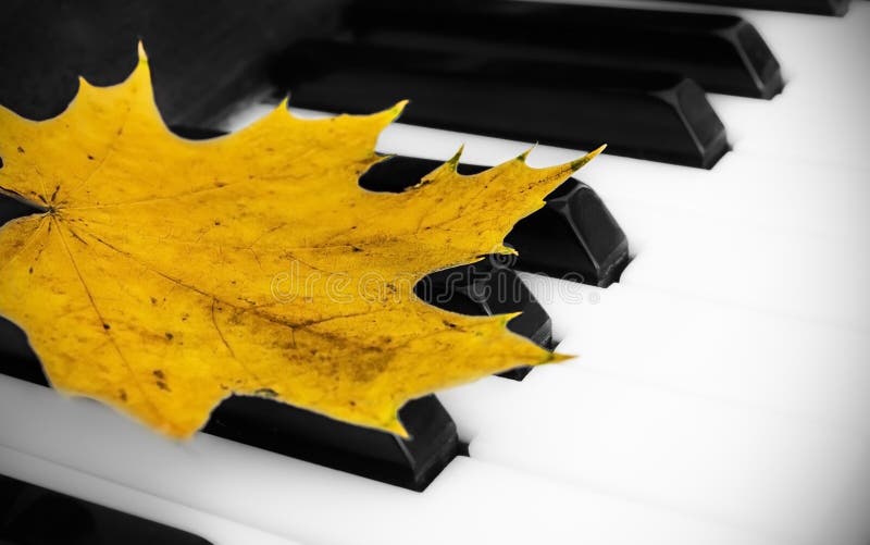 Music and leaf stock photo. Image of song, weathered, season - 1342030