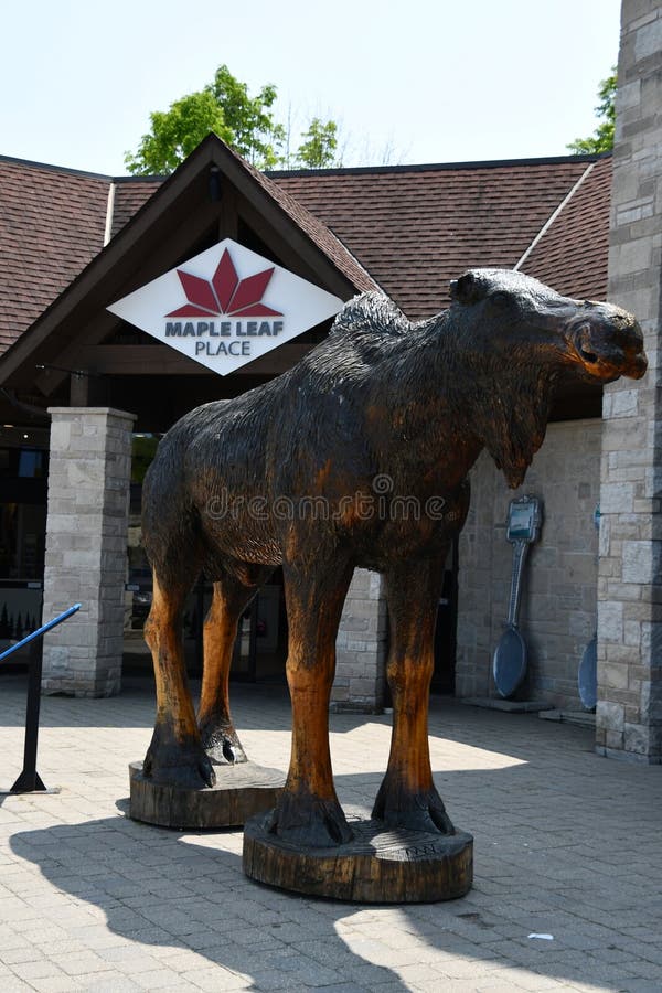Maple Leaf Place in Niagara Falls, Ontario, in Canada Editorial Photo ...