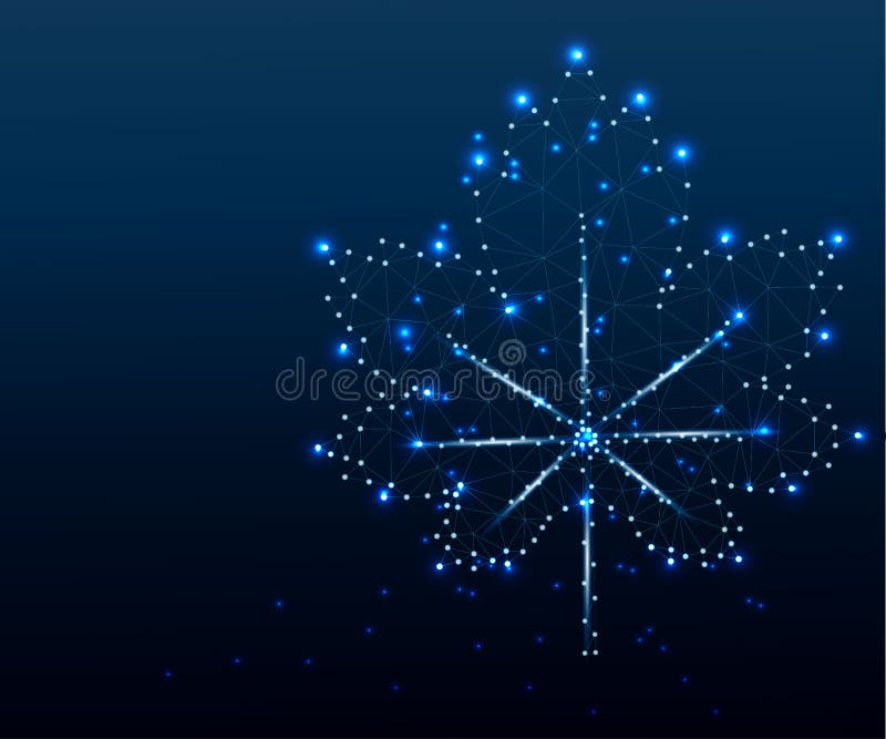 Maple Leaf Wireframe Stock Illustrations – 54 Maple Leaf Wireframe ...