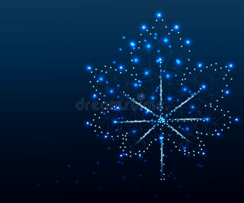 Maple Leaf Wireframe Stock Illustrations – 77 Maple Leaf Wireframe ...