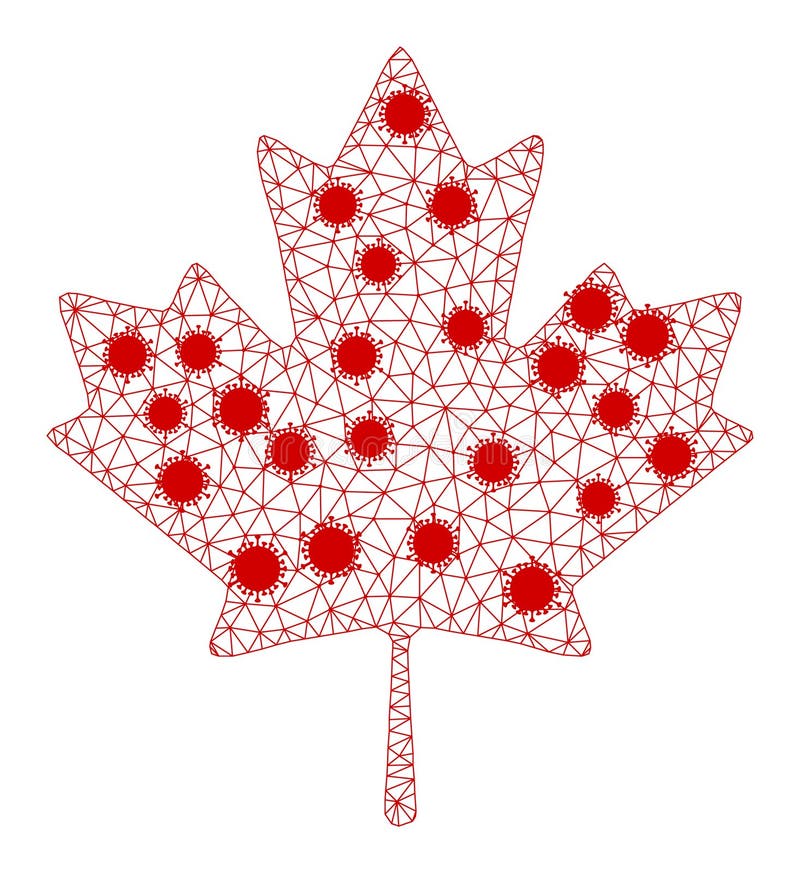 Maple Leaf Wireframe Stock Illustrations – 54 Maple Leaf Wireframe ...
