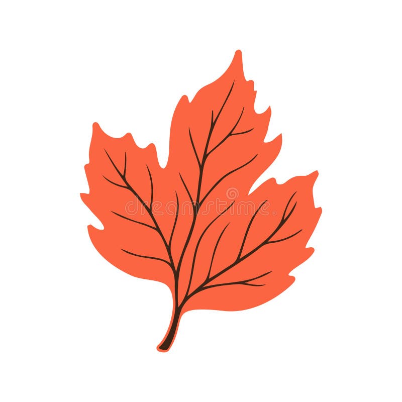 Maple Leaf, Red Leaf, Autumn Leaf Silhouette and Outline Leaf Veins, Details Vector Illustration ...
